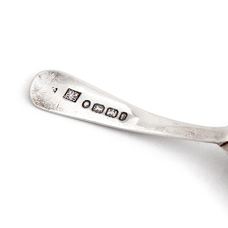 Provincial Victorian Silver Tea Caddy Spoon with Assay Marks for Exeter ...